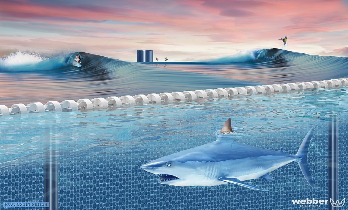 V-reef – Webber Reefs